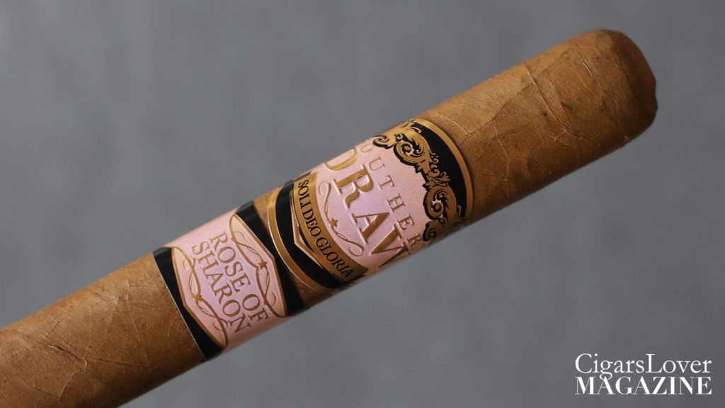 Southern Draw Rose of Sharon Toro - CigarsLover Magazine