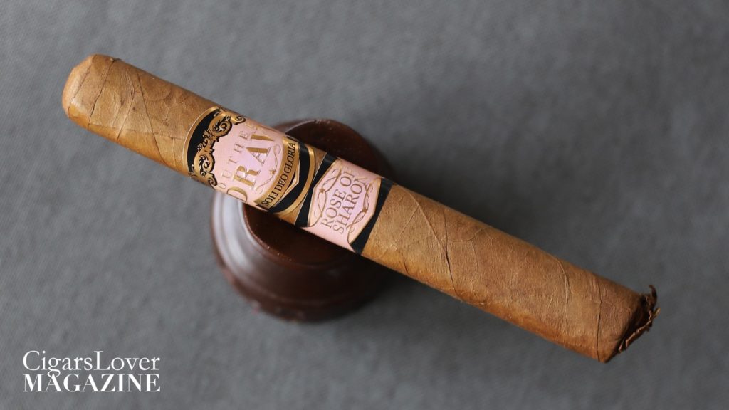 Southern Draw Rose of Sharon Toro - CigarsLover Magazine